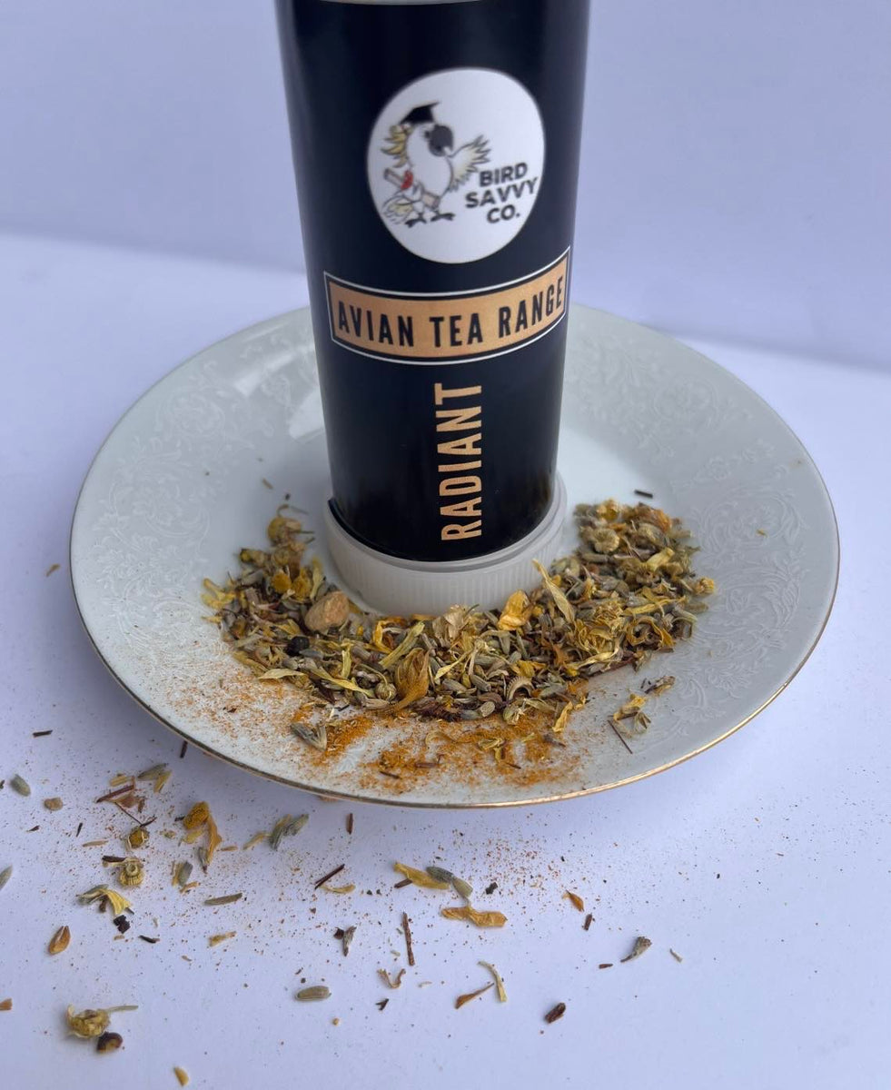 Radiant – Bird Savvy Co